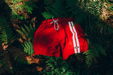 Bear: the history of the californian style brand - Bear Surfboards